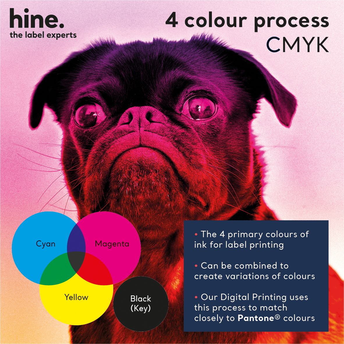 4 colour process • Hine Labels • The Label Experts